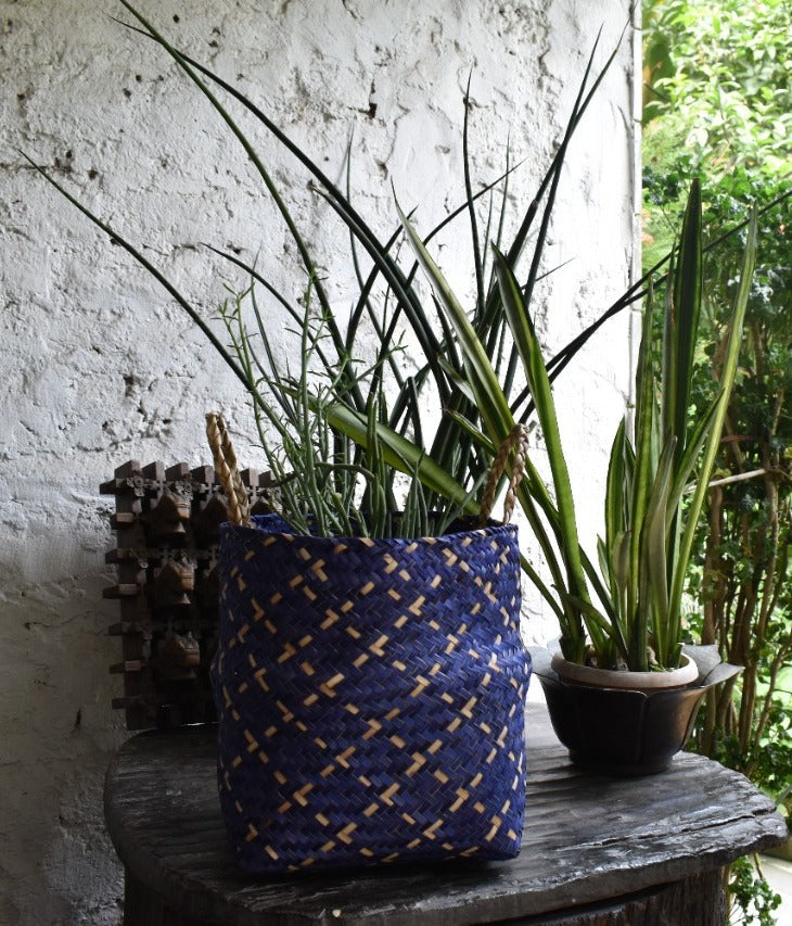 Natural Planters & Storage baskets | Purple – Cane Concept