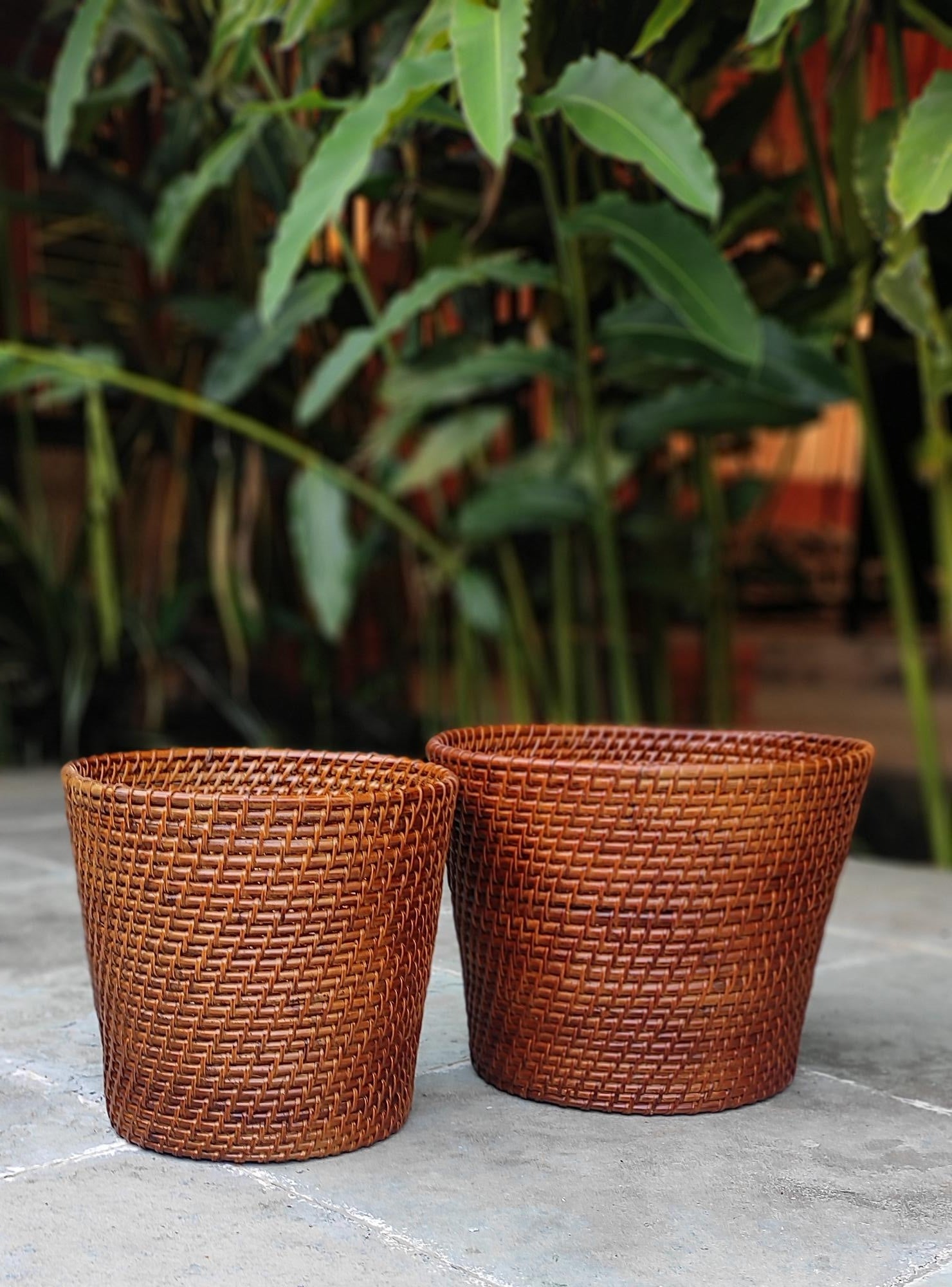 Cane Planters | Walnut finish – Cane Concept